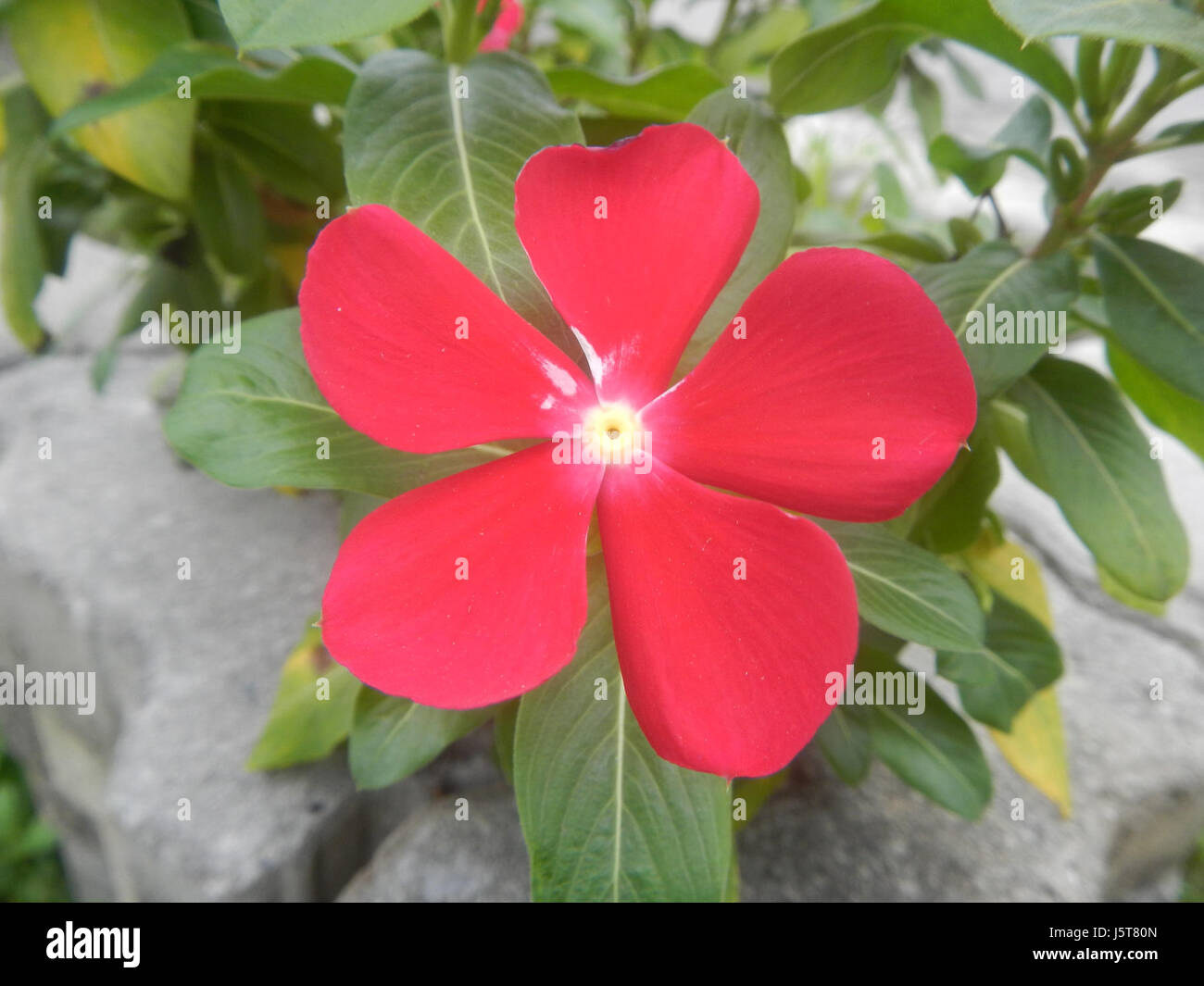 02058 hi-res stock photography and images - Alamy