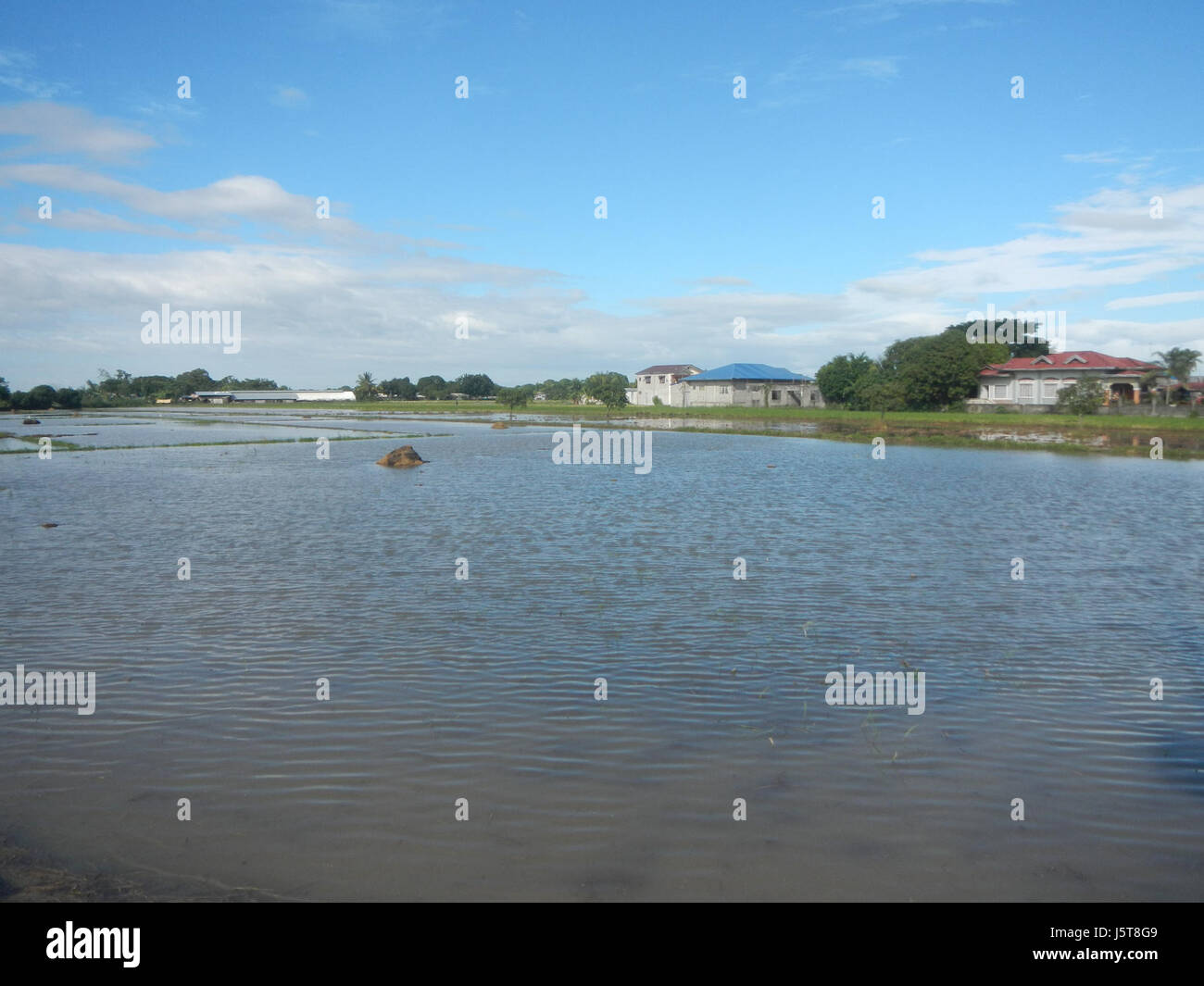 The boundary area between Apalit, San Simon, San Luis, Pampanga, and ...