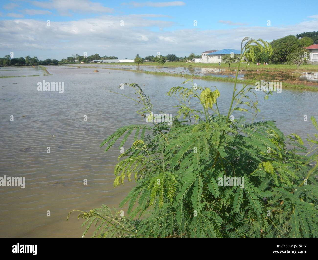 This location encompasses a boundary area in the Philippines ...