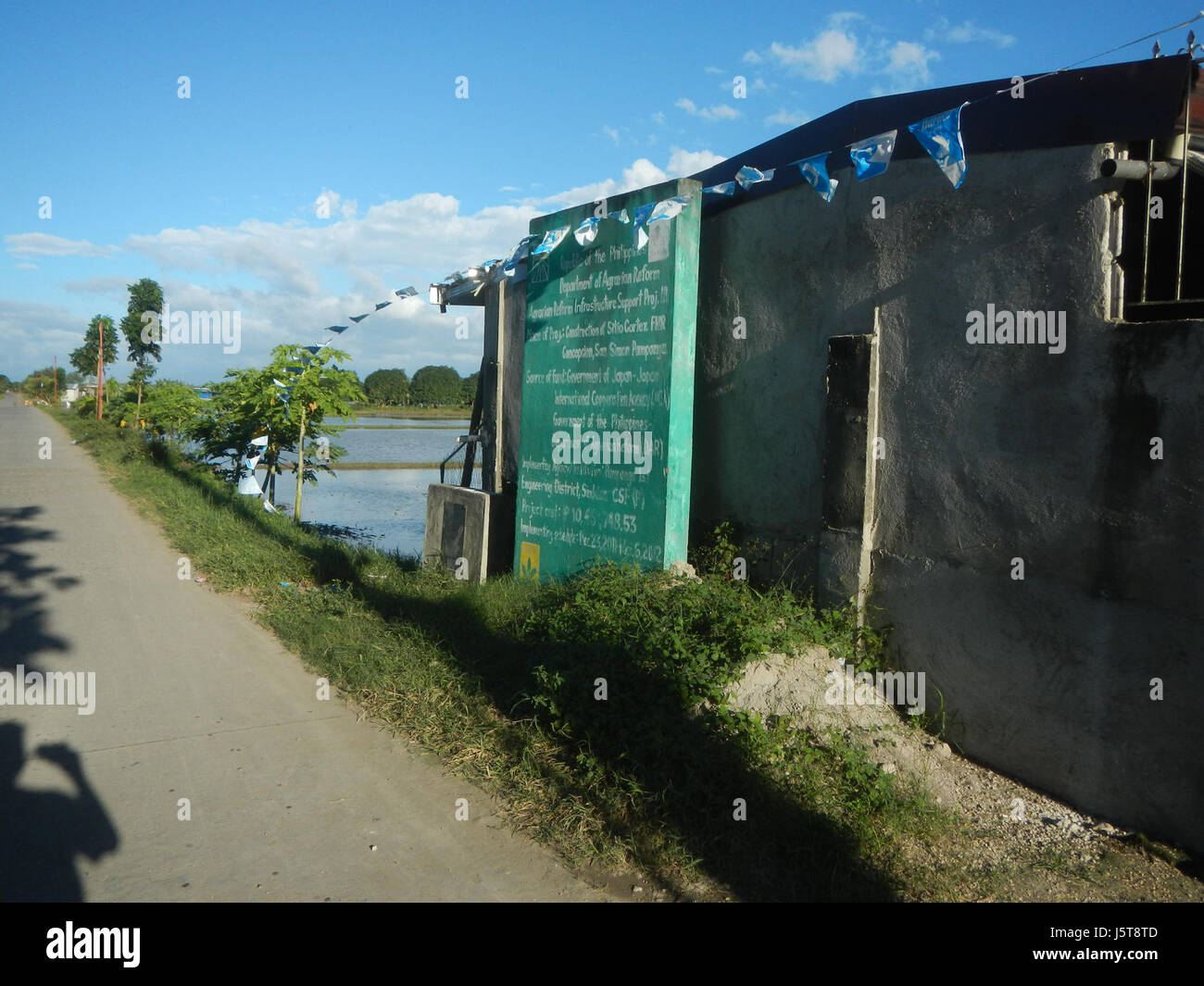 02701 Paddy fields grasslands trees Cortez Road Concepcion San Simon ...