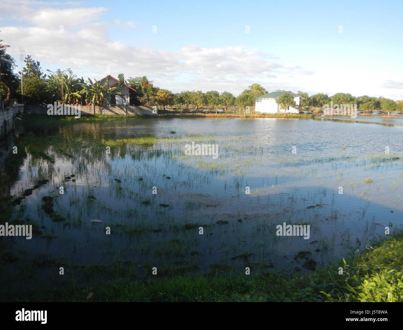 The area along Cortez Road in Concepcion, San Simon, Pampanga, is ...