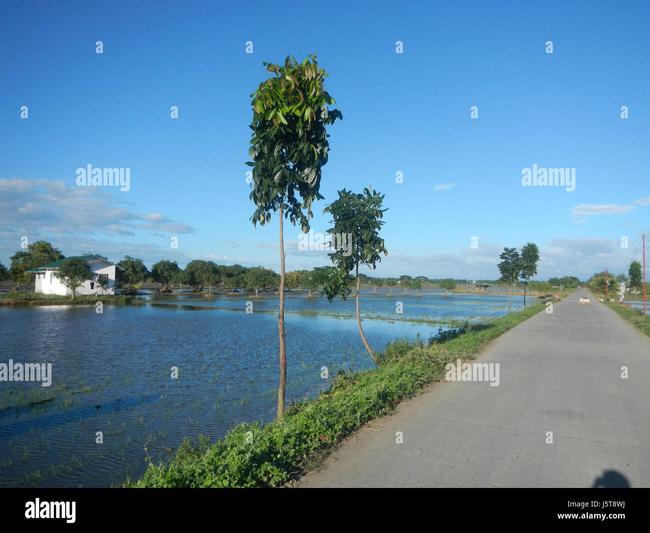 This image references the rural landscape along Cortez Road in ...