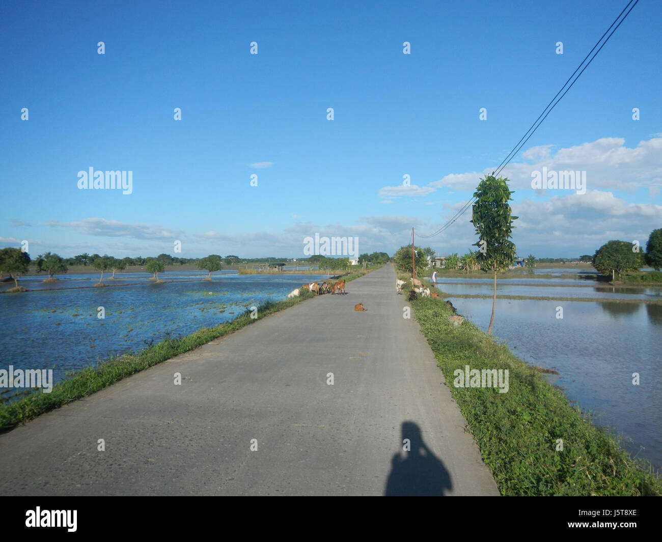A scenic view of the rural landscape along Cortez Road in Concepcion ...