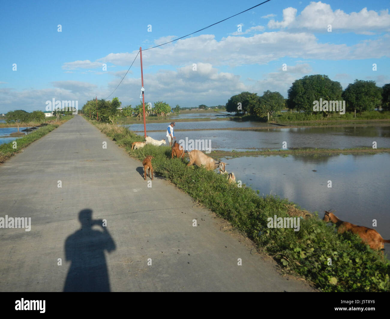 This image depicts the rural landscape along Cortez Road in Concepcion ...