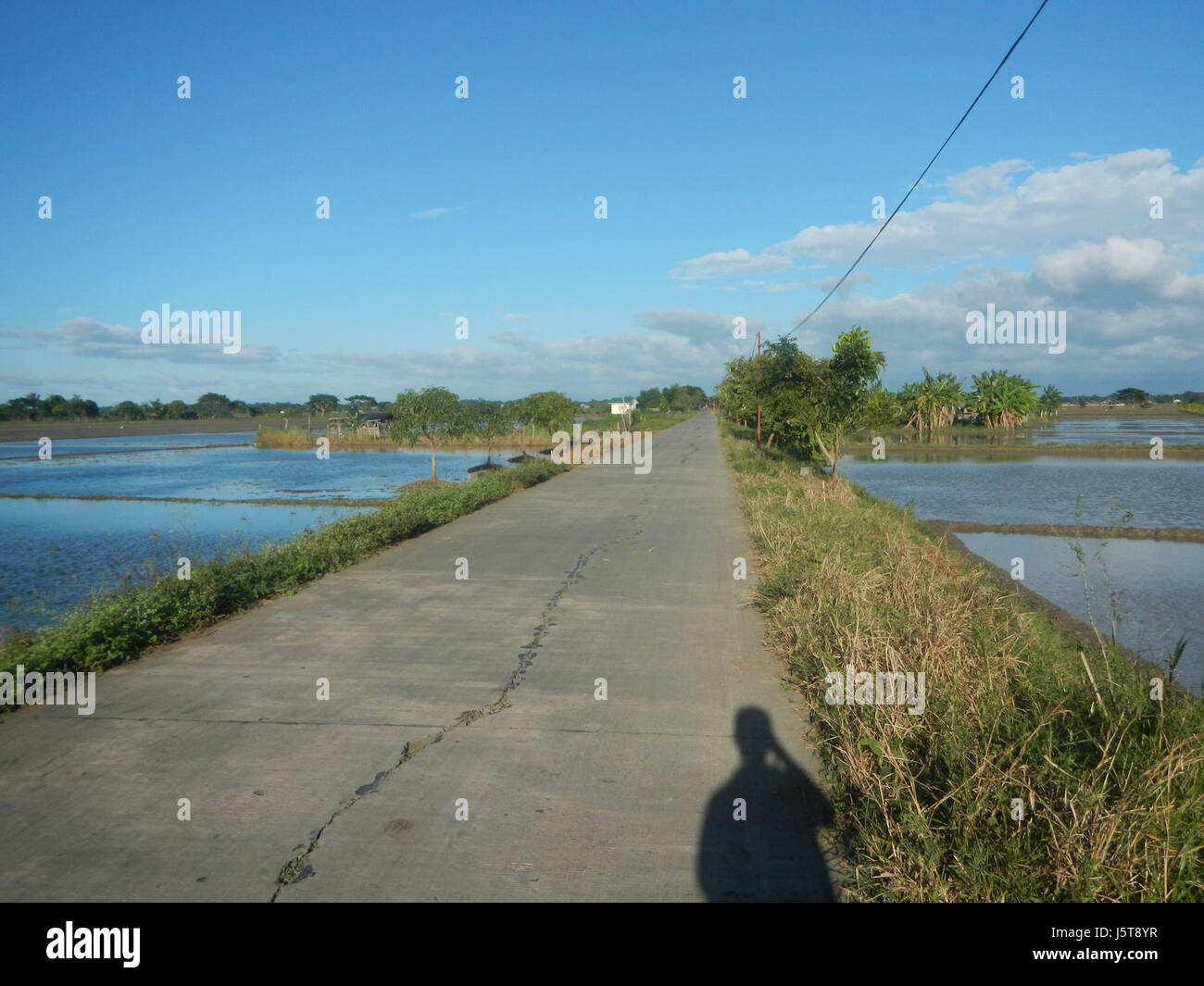 This scene captures the agricultural landscape of San Simon, Pampanga ...
