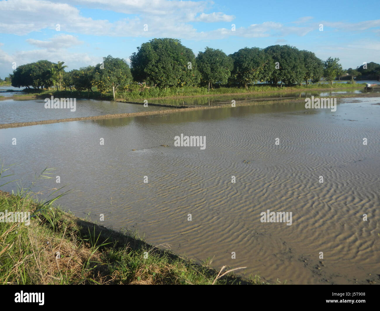 The area along Cortez Road in Concepcion, San Simon, Pampanga, is known ...