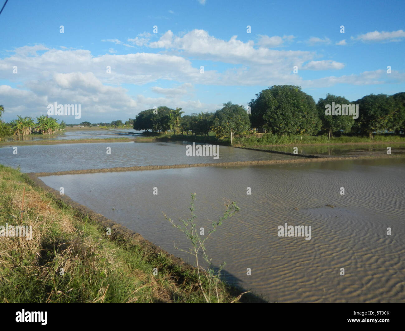 The image captures the rural landscape of Concepcion, San Simon ...