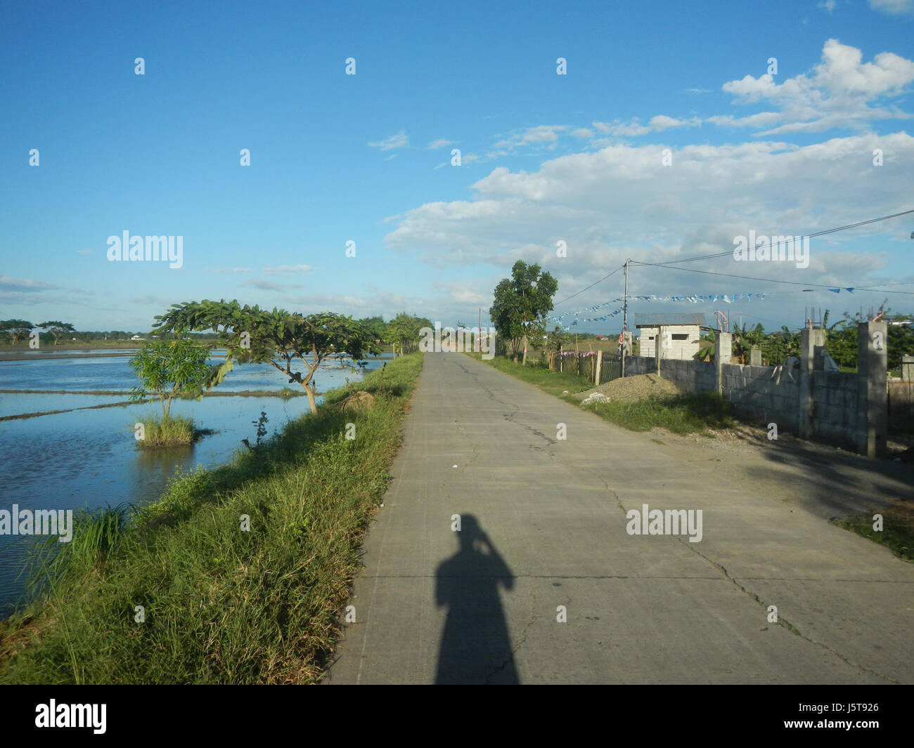 This photograph depicts the lush rural landscape along Cortez Road in ...