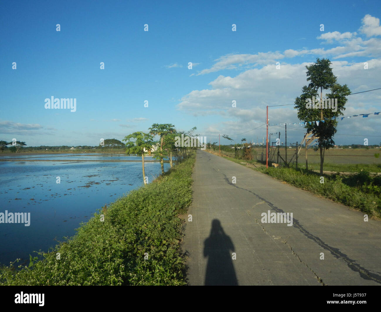 A rural scene from Cortez Road in Concepcion, San Simon, Pampanga ...