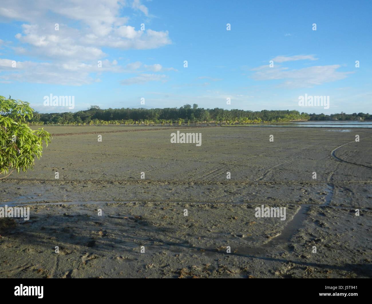 This image depicts a rural scene along Cortez Road in Concepcion, San ...