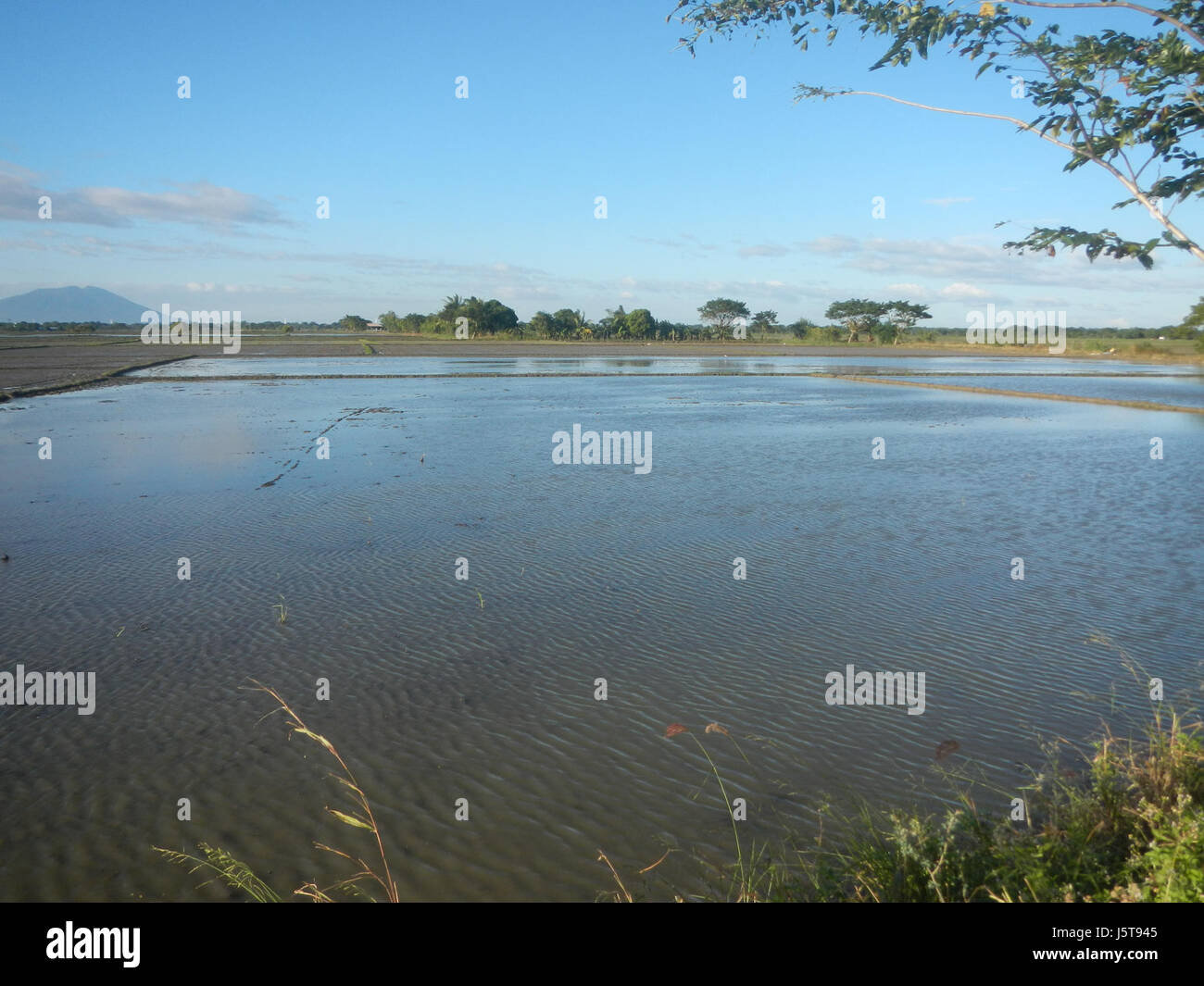 The image shows a rural landscape in Concepcion, San Simon, Pampanga ...