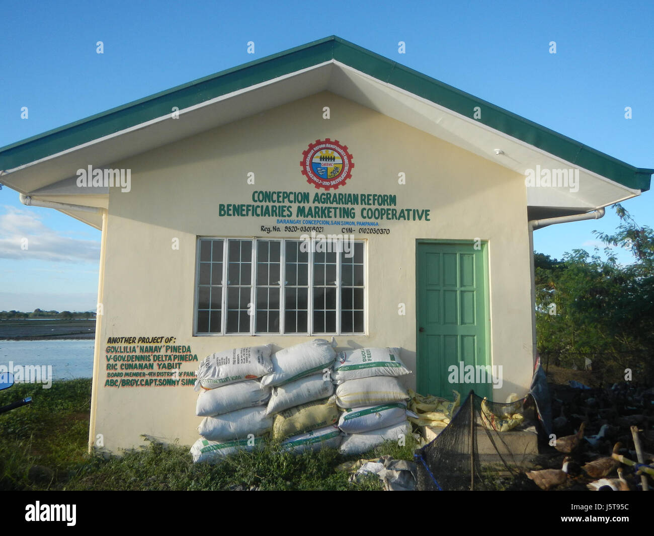 The paddy fields along Cortez Road in Concepcion, San Simon, Pampanga ...