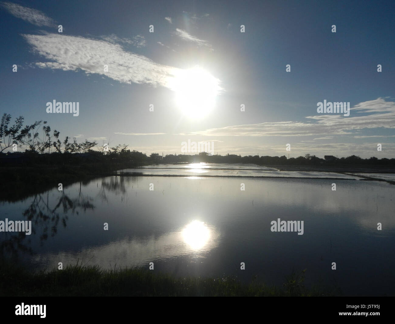 02980fPaddy fields trees Cortez Road Concepcion San Simon Pampanga 09 ...