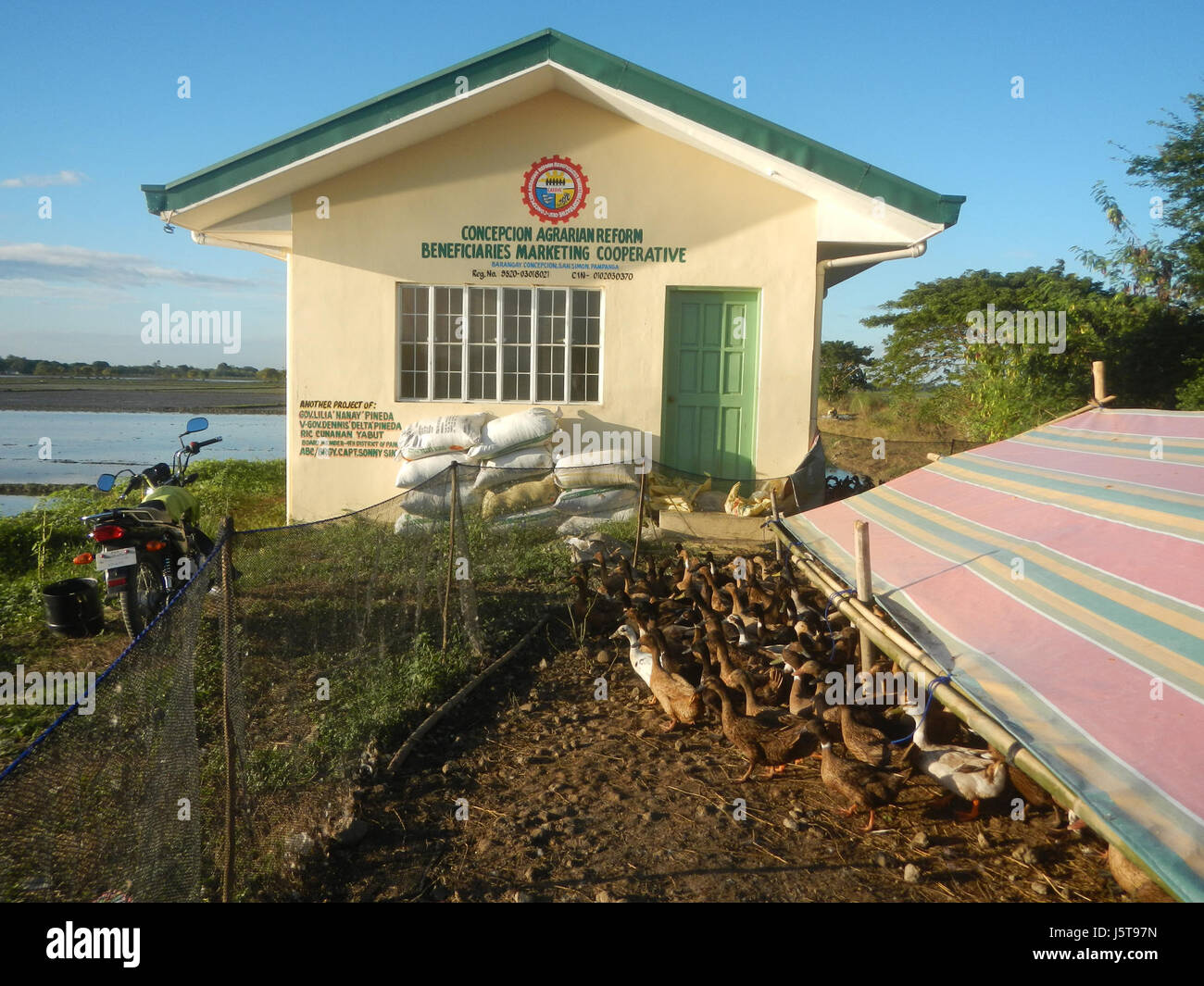 The paddy fields along Cortez Road in Concepcion, San Simon, Pampanga ...