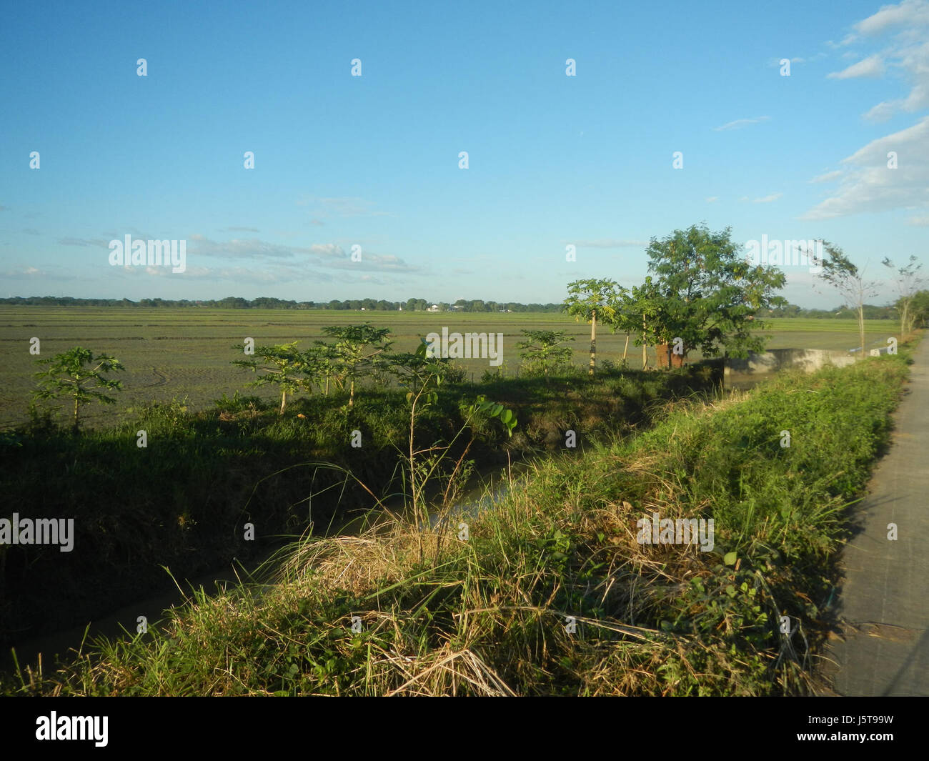 A depiction of the rural landscape along Cortez Road in Concepcion, San ...