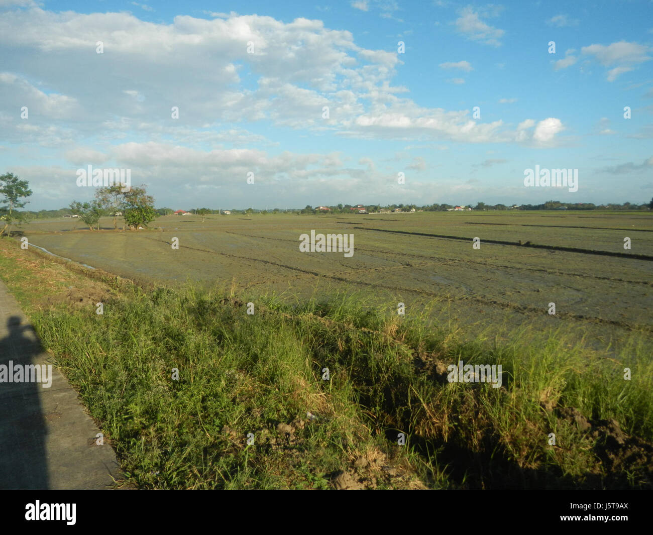 The area around Cortez Road in Concepcion, San Simon, Pampanga, is ...