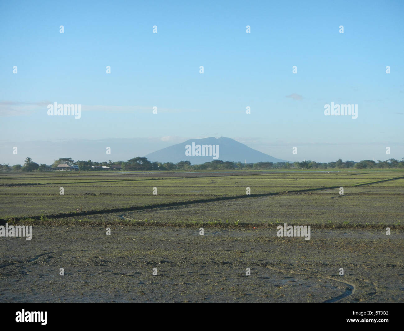 03123fPaddy fields trees Cortez Road Concepcion San Simon Pampanga 09 ...
