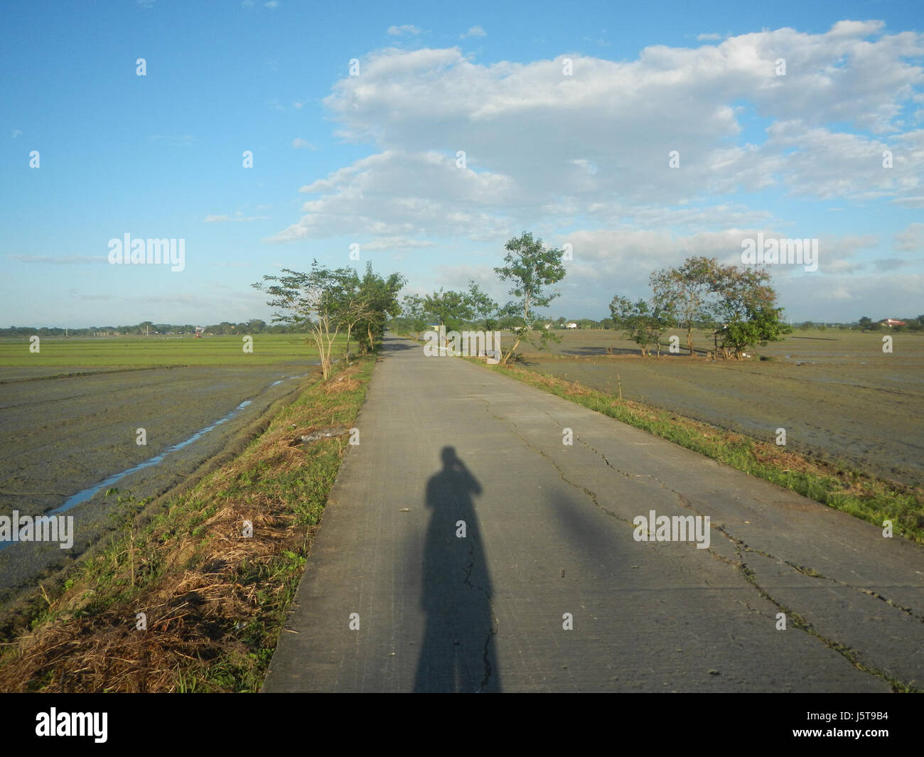 03123fPaddy fields trees Cortez Road Concepcion San Simon Pampanga 11 ...