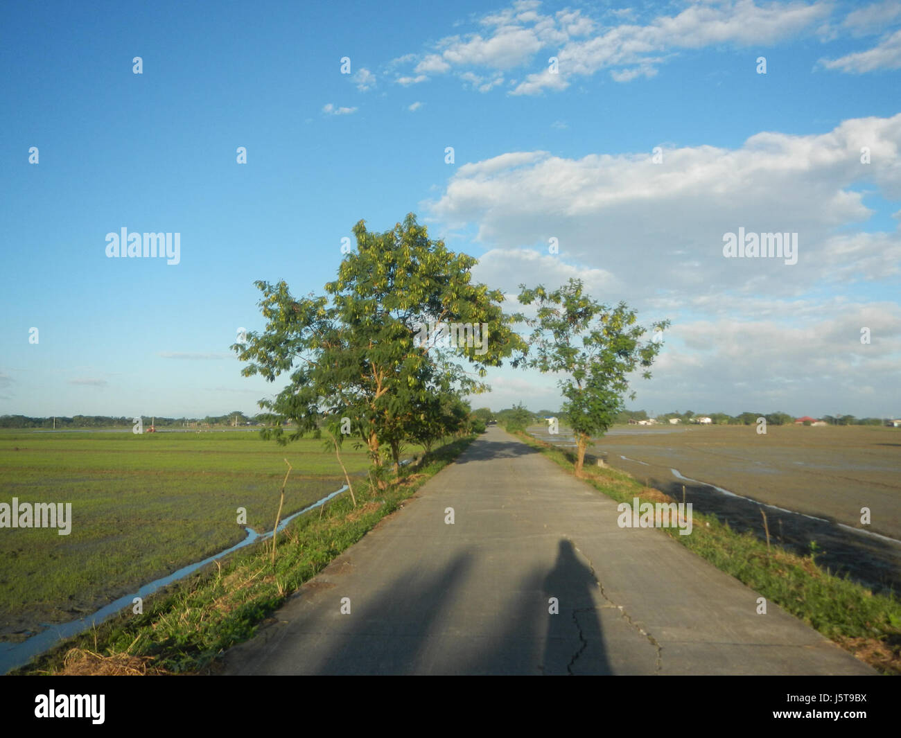 This photograph captures a rural scene along Cortez Road in Concepcion ...
