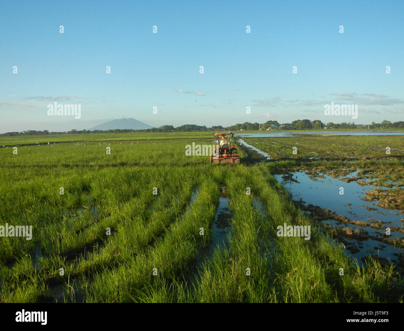 The image shows the landscape of Cortez Road in Concepcion, San Simon ...