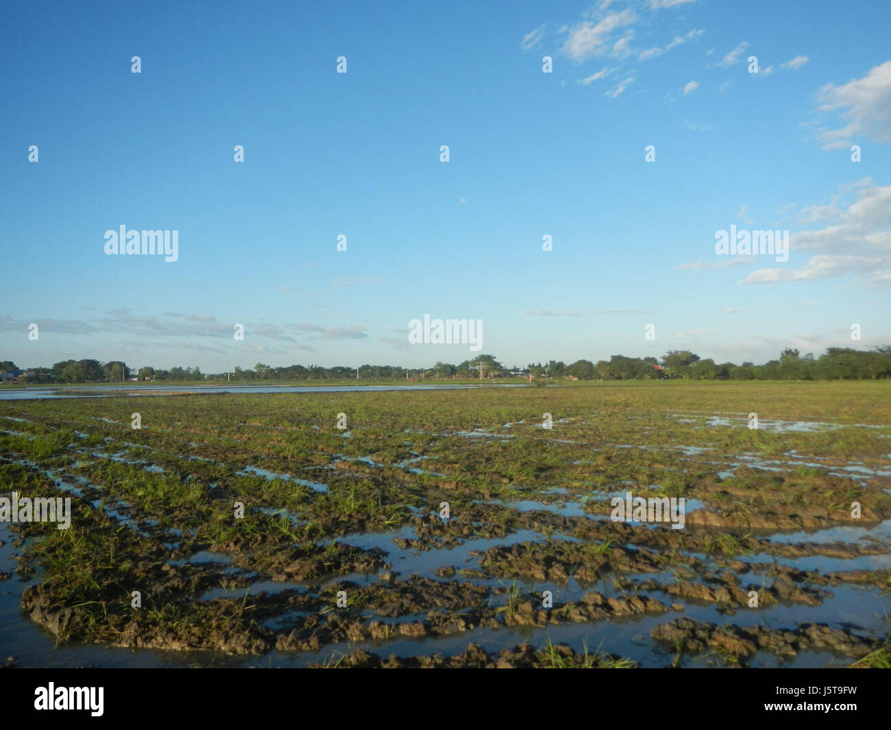 The area along Cortez Road in Concepcion, San Simon, Pampanga, is known ...