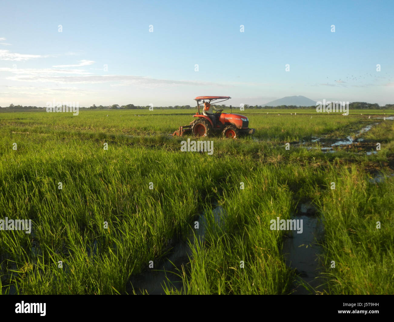 This image depicts the rural landscape of San Simon, Pampanga ...