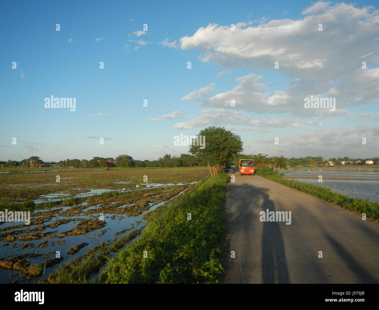 Photograph titled '03302fPaddy fields trees Cortez Road Concepcion San ...