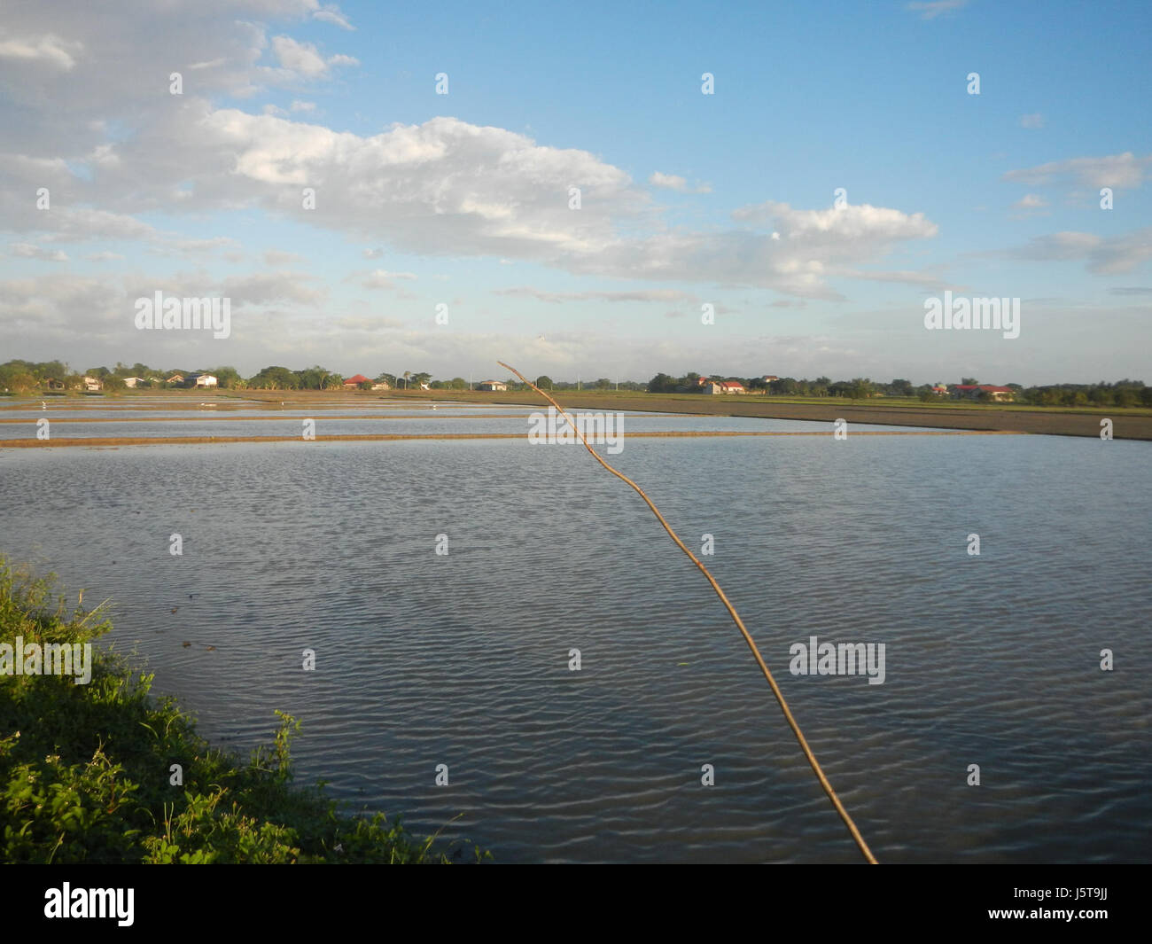 Cortez Road in Concepcion, San Simon, Pampanga, is a rural area with ...