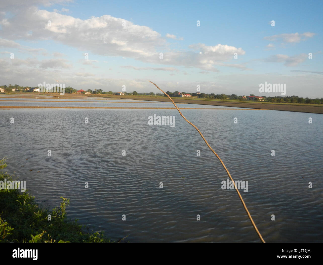 This image depicts the serene agricultural landscape along Cortez Road ...