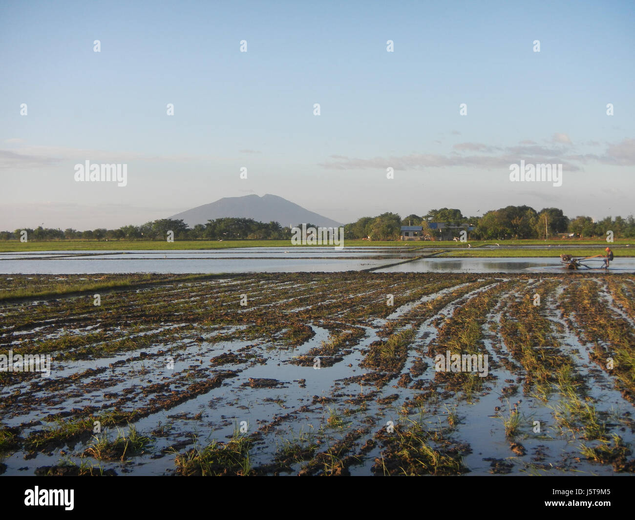 The scene from Cortez Road, Concepcion, San Simon in Pampanga, captures ...