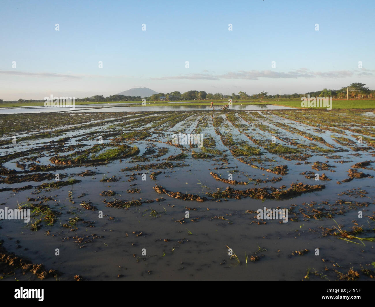 This image depicts the rural landscape of San Simon, Pampanga, with ...