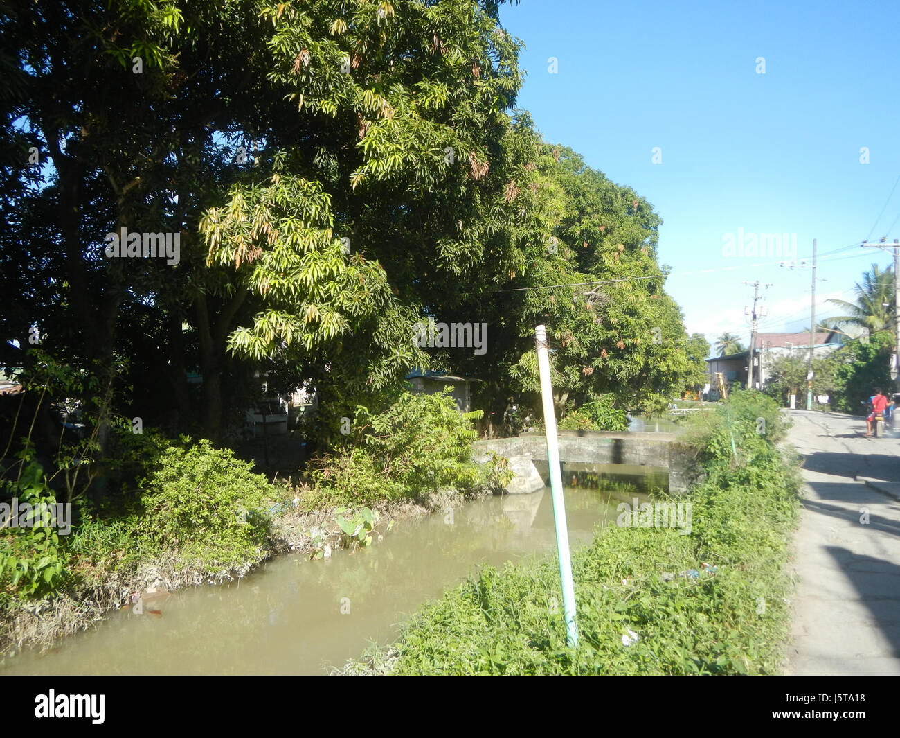 0201 Paddy fields trees irrigation Bantog San Miguel Bulacan Halls ...
