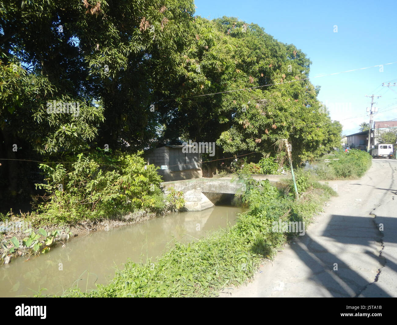 0201 Paddy fields trees irrigation Bantog San Miguel Bulacan Halls ...