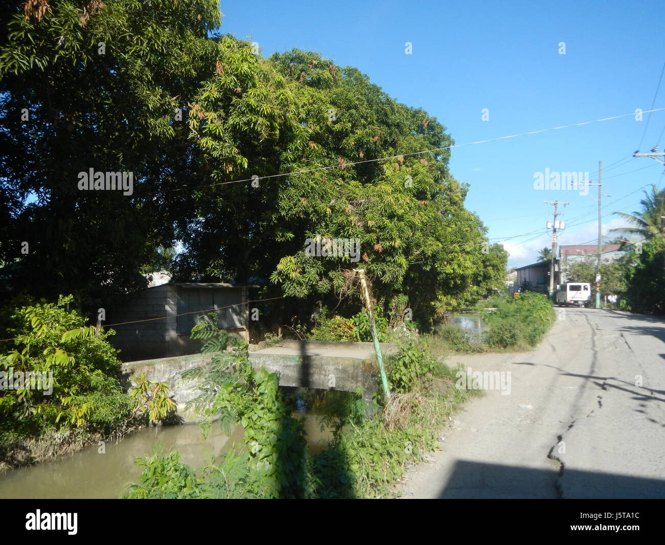 0201 Paddy fields trees irrigation Bantog San Miguel Bulacan Halls ...