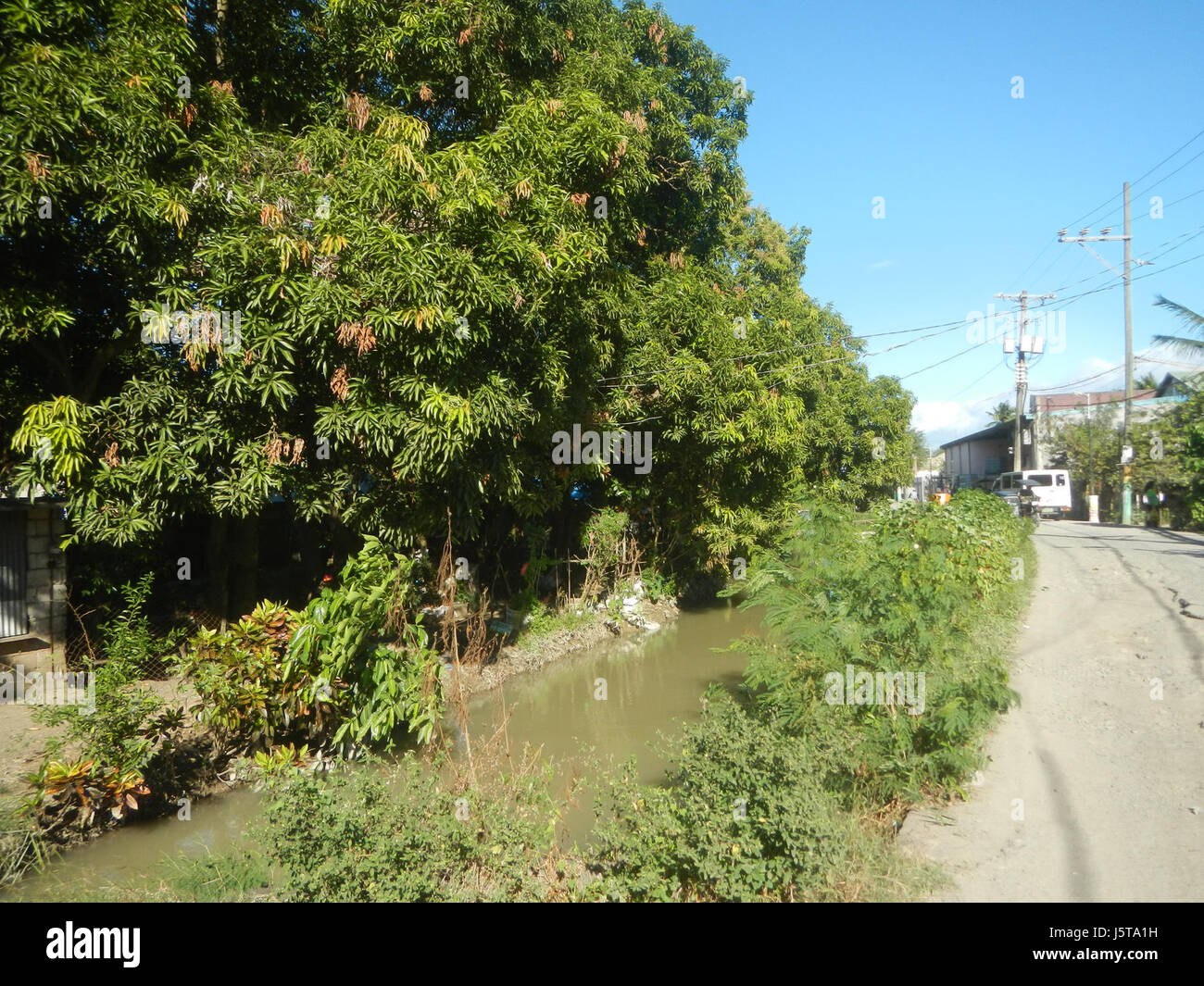 0201 Paddy fields trees irrigation Bantog San Miguel Bulacan Halls ...