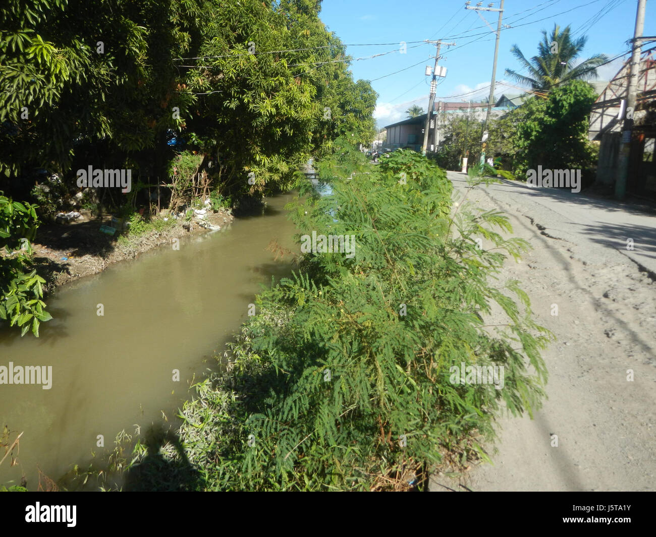0201 Paddy fields trees irrigation Bantog San Miguel Bulacan Halls ...