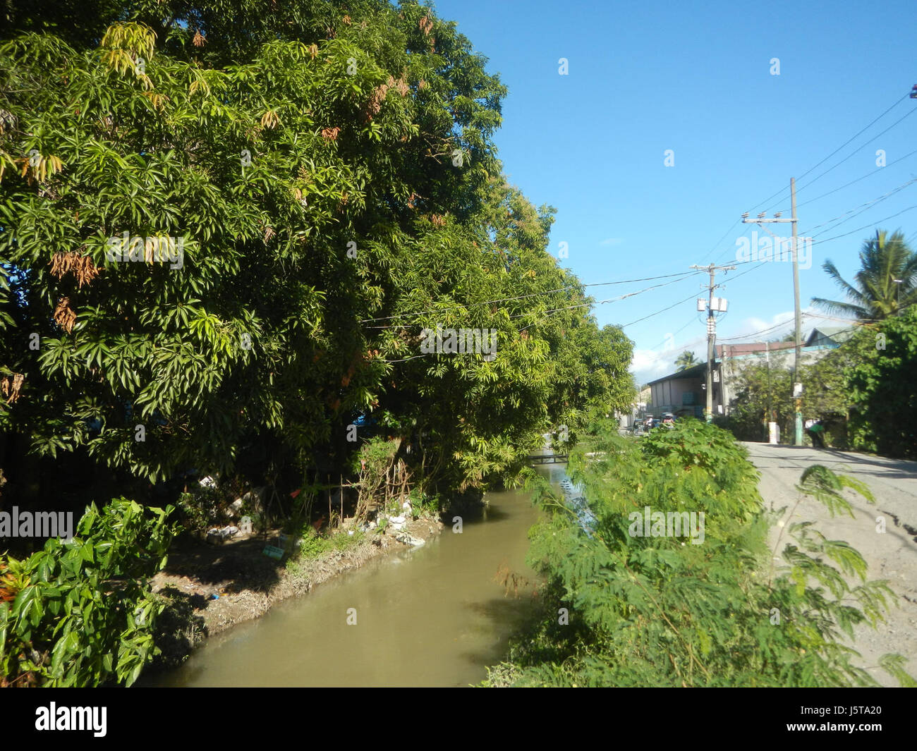 0201 Paddy fields trees irrigation Bantog San Miguel Bulacan Halls ...