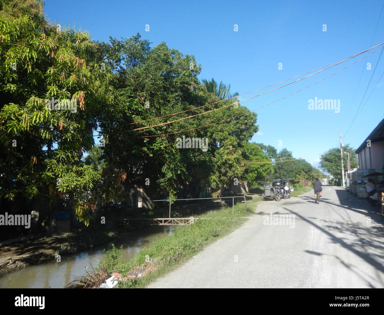 0226 Paddy fields trees irrigation Bantog San Miguel Bulacan Halls ...