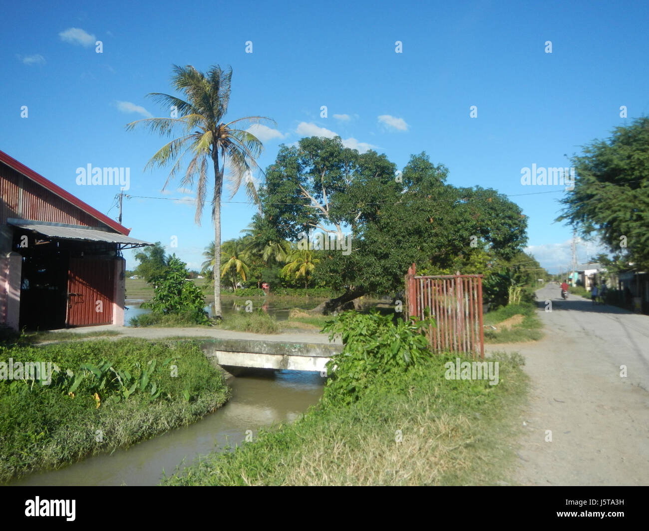 This title refers to agricultural and irrigation practices in the paddy ...