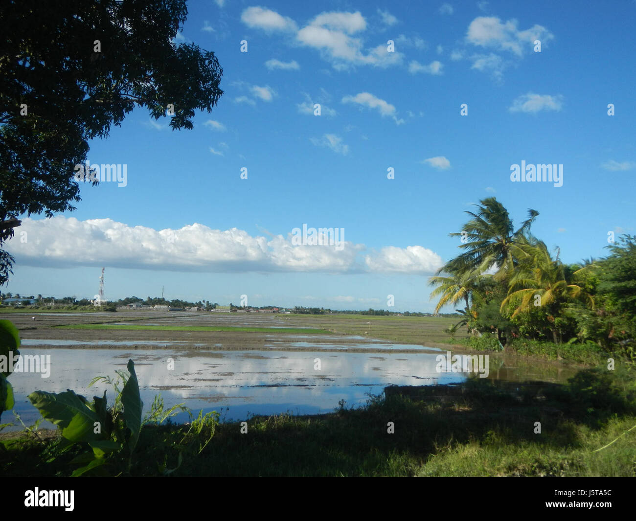 The image captures the rural landscape of Bantog in San Miguel, Bulacan ...