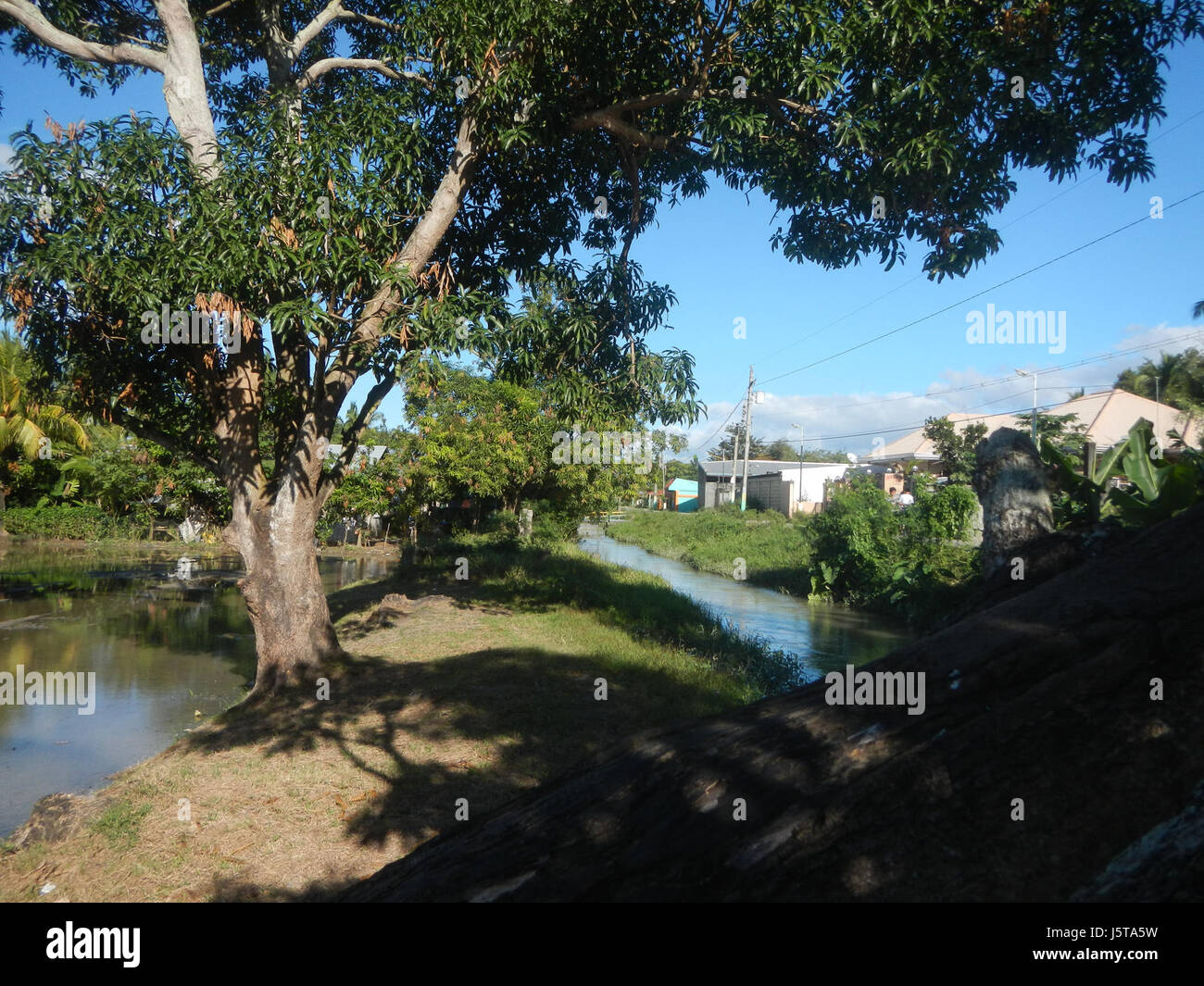 0301 Paddy fields trees irrigation Bantog San Miguel Bulacan Halls ...