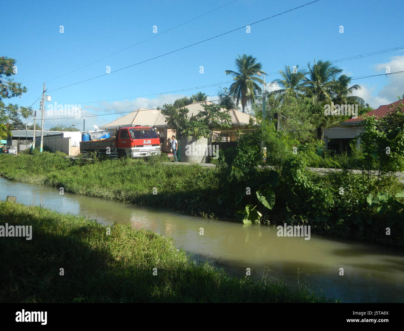 0326 Paddy fields trees irrigation Bantog San Miguel Bulacan Halls ...