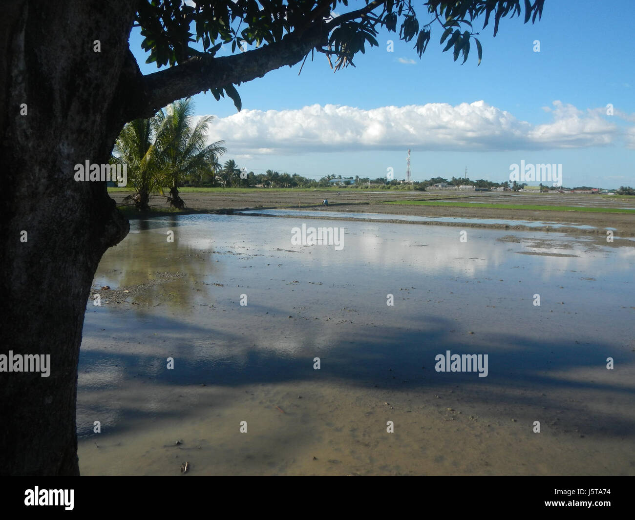 The image depicts the rural landscape of Bantog, San Miguel, Bulacan ...