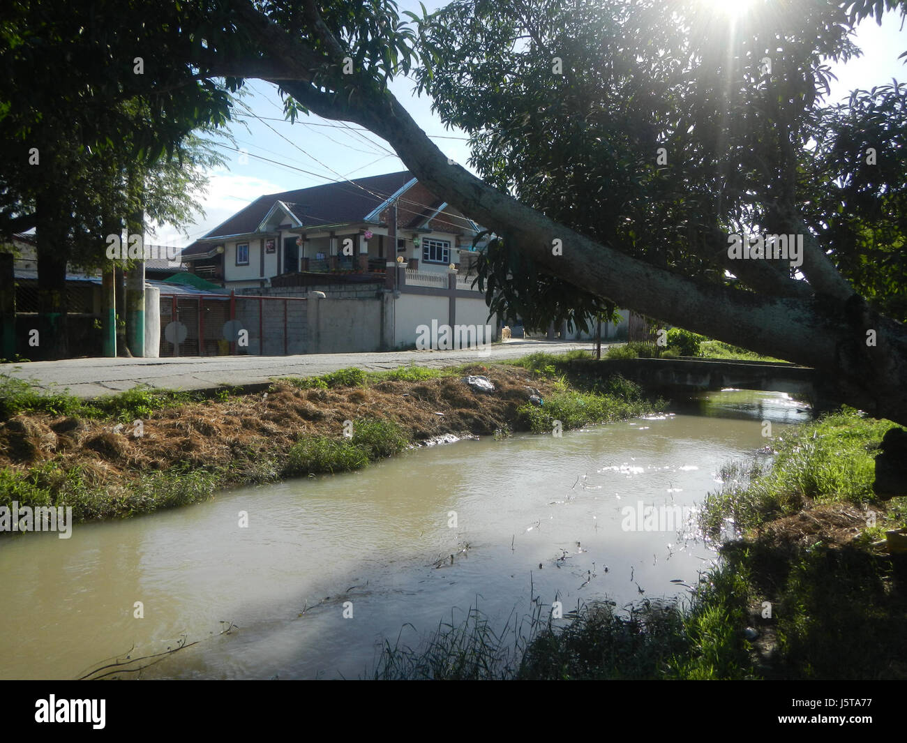 0326 Paddy fields trees irrigation Bantog San Miguel Bulacan Halls ...