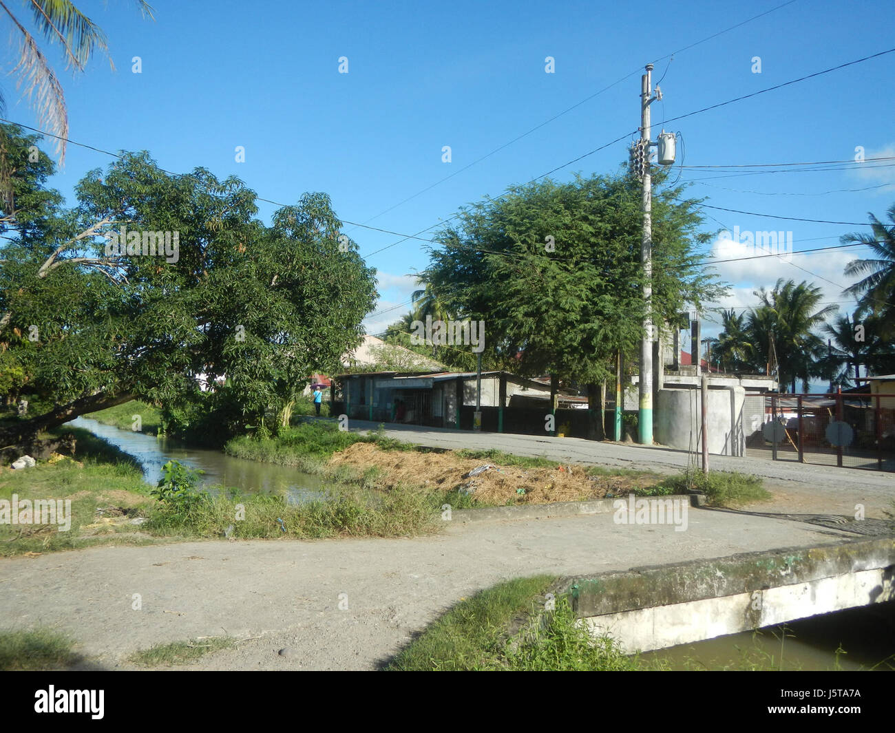 0326 Paddy fields trees irrigation Bantog San Miguel Bulacan Halls ...