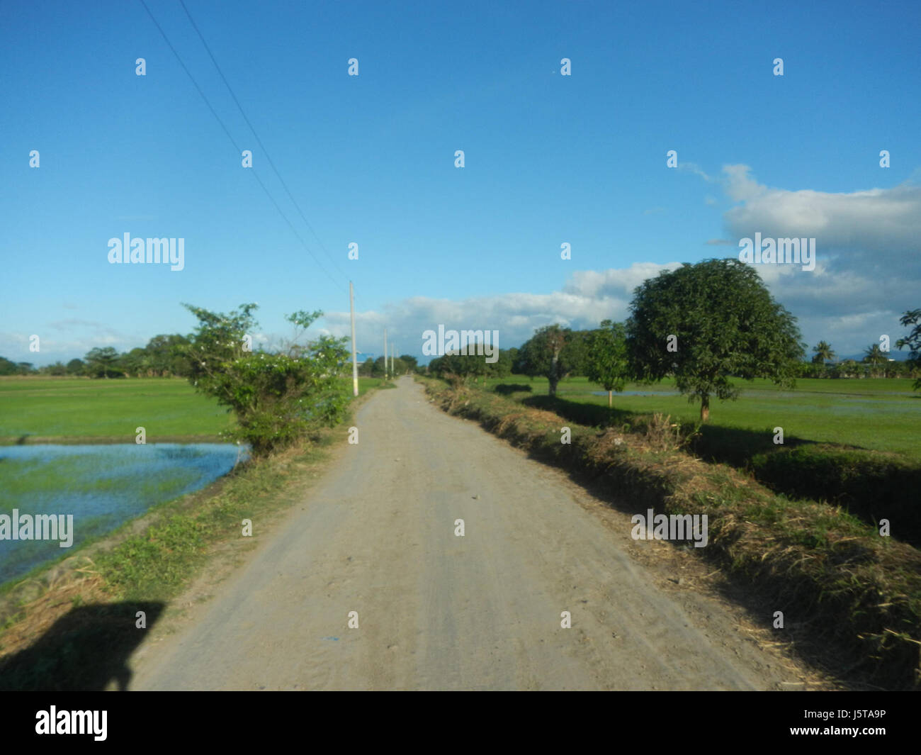 Hulo hi-res stock photography and images - Alamy