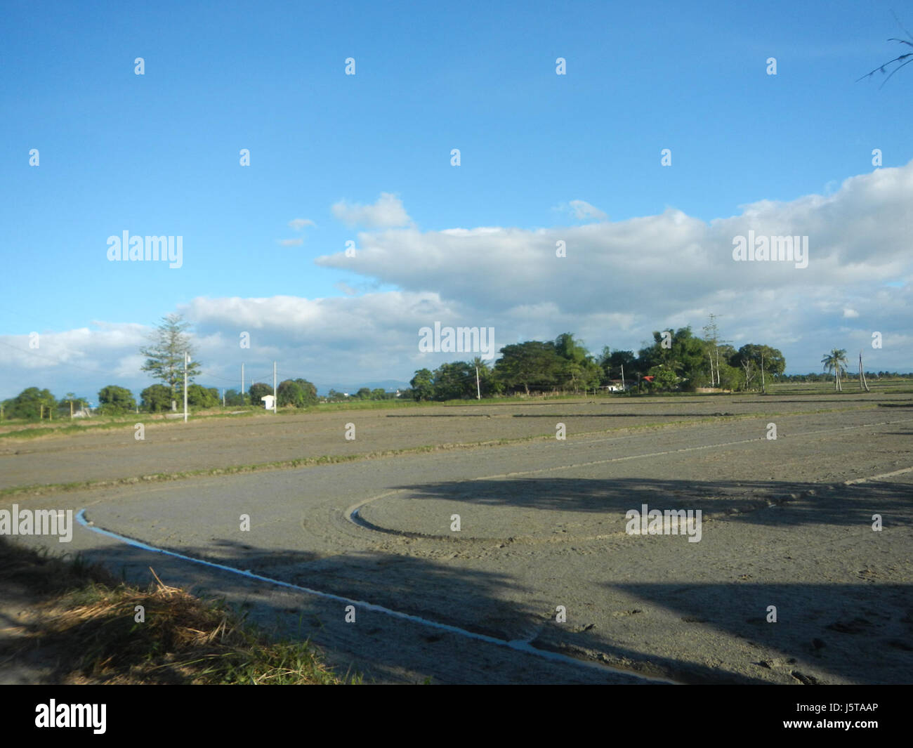 An image capturing the agricultural landscape of Sitios Hulo and ...