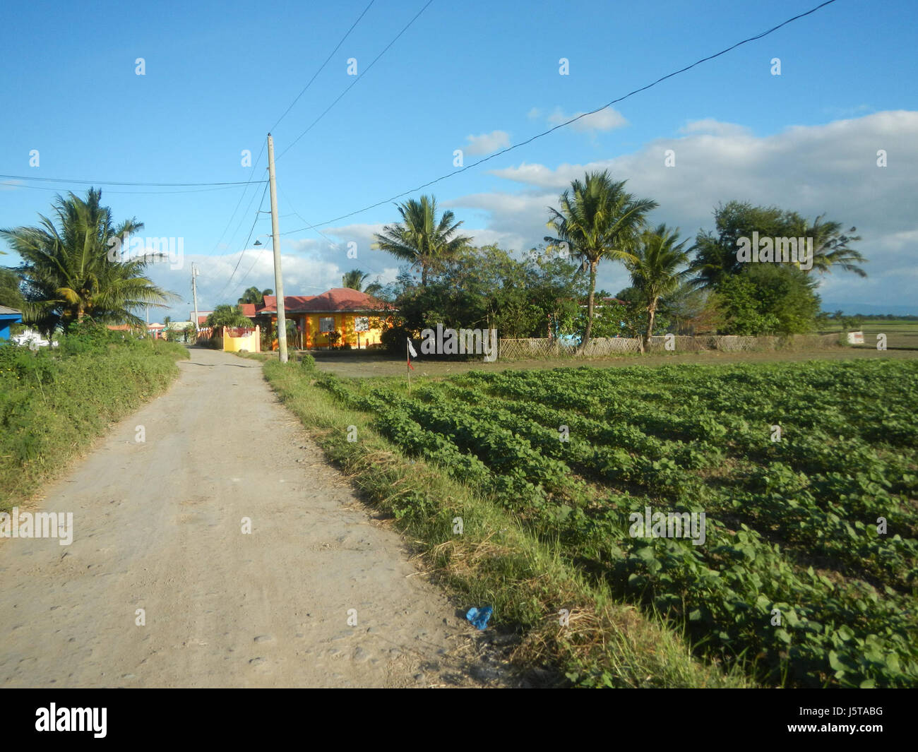 Rural agriculture and rural areas hi-res stock photography and images ...