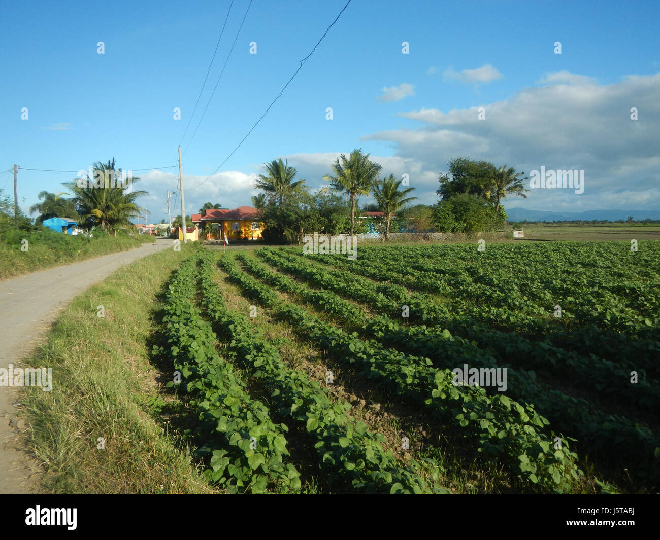 This title refers to locations in the province of Pampanga, Philippines ...