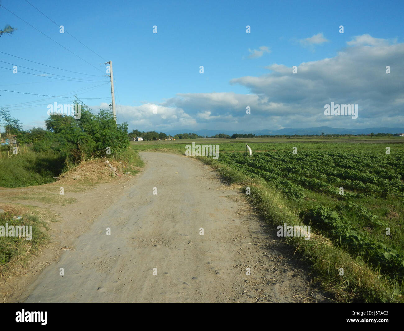 Sitios Hulo and Hilerang Patubig are rural areas in Candaba, Pampanga ...